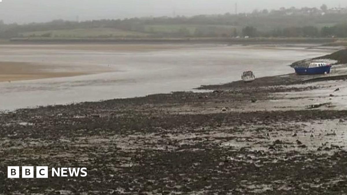Burry inlet sea sewage breach - European Court of Justice - BBC News
