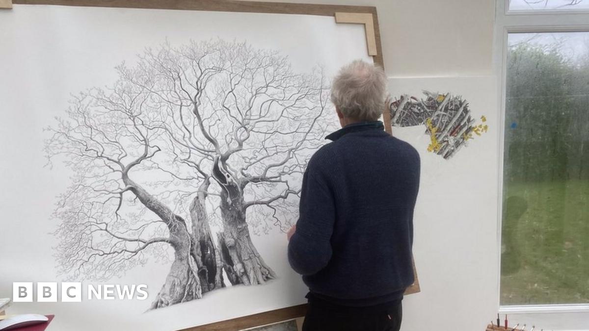 Nottinghamshire: Artwork of famous Major Oak tree to go on display - BBC News