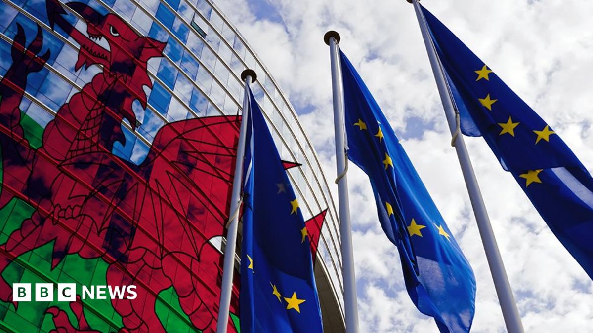 Brexit: Fears EU law axe could side-line Welsh Parliament - BBC News