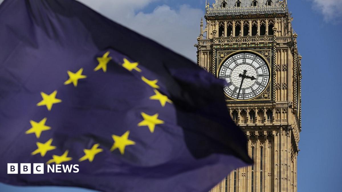 What does 'hard' or 'soft' Brexit mean? - BBC News