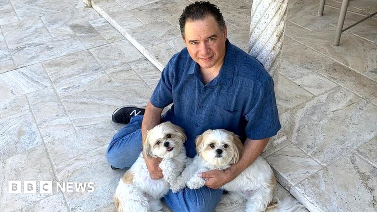 Pet cloning is getting more popular despite the cost - BBC News