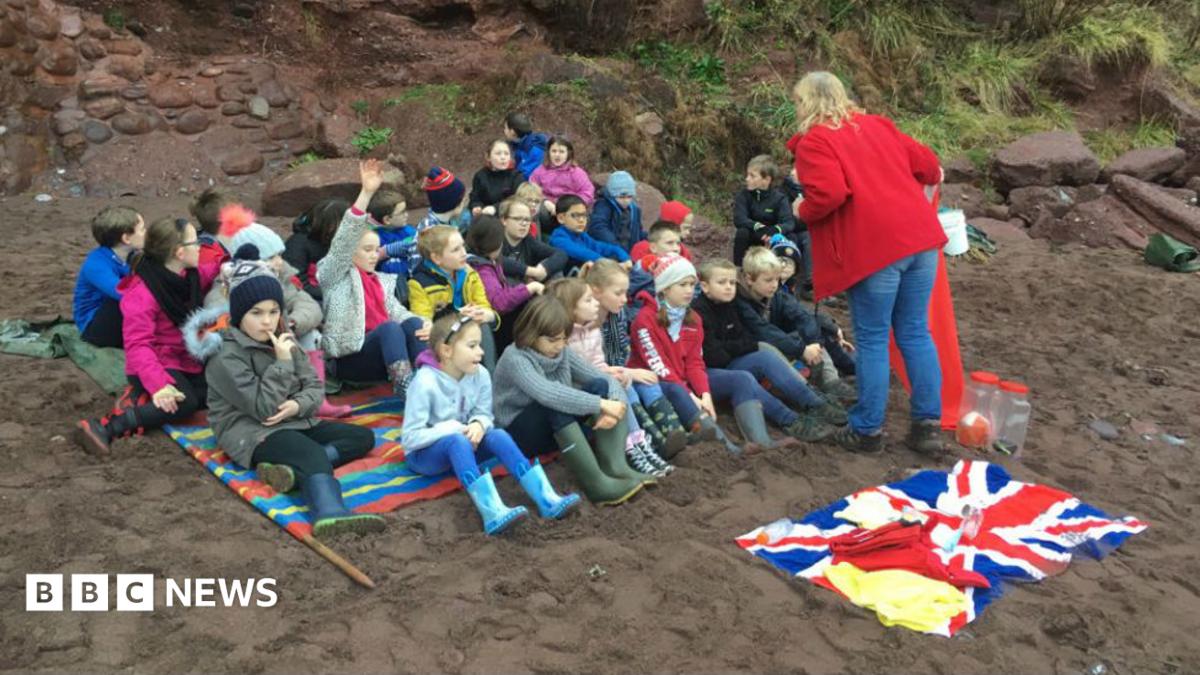 Shoreline lessons - how beach trips boost learning - BBC News