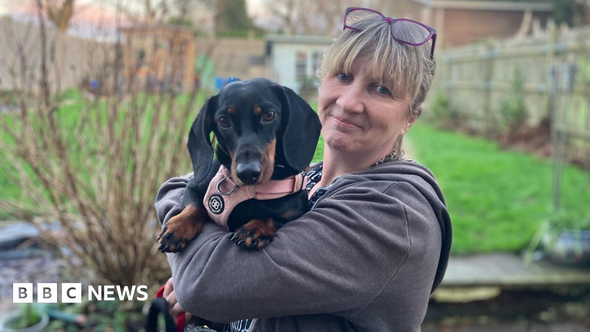 Rescued dogs now 'bringing joy' to owners - BBC News