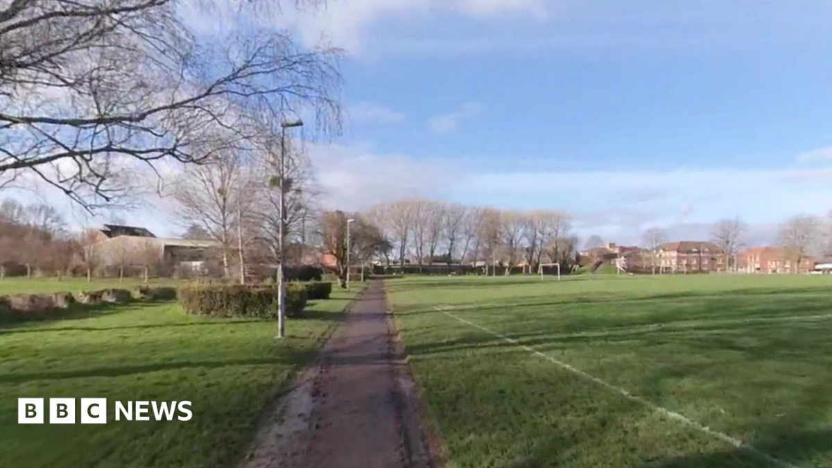 Police investigate rape in Taunton's Hamilton Park - BBC News