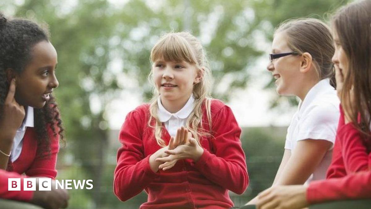 Welsh language in schools: Teachers' funding fears over expansion - BBC ...