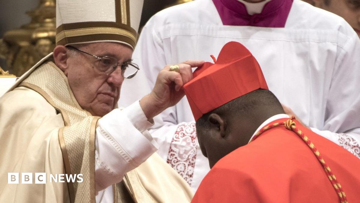 Pope Francis names 17 new cardinals of Roman Catholic Church - BBC News