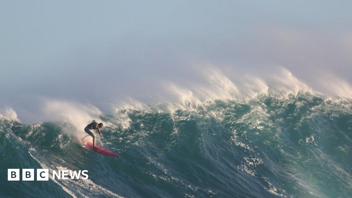 Devon surfer Adam Amin conquers 50ft Hawaii wave 'Jaws' - BBC News