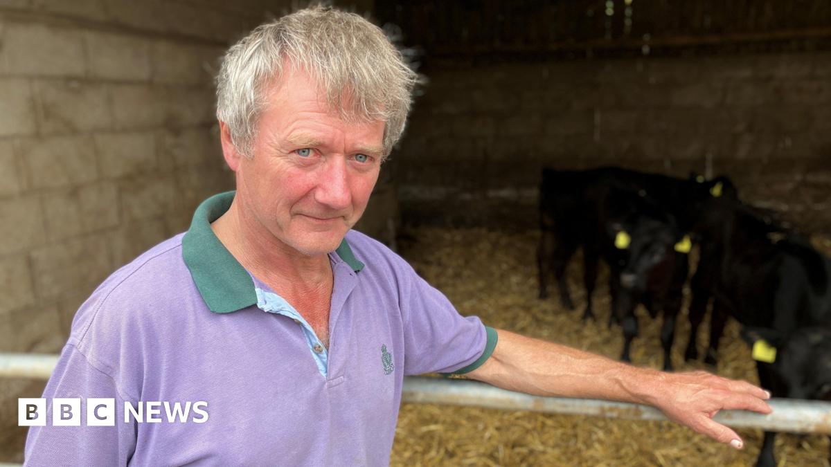 Shropshire farmers call for stability from new government - BBC News