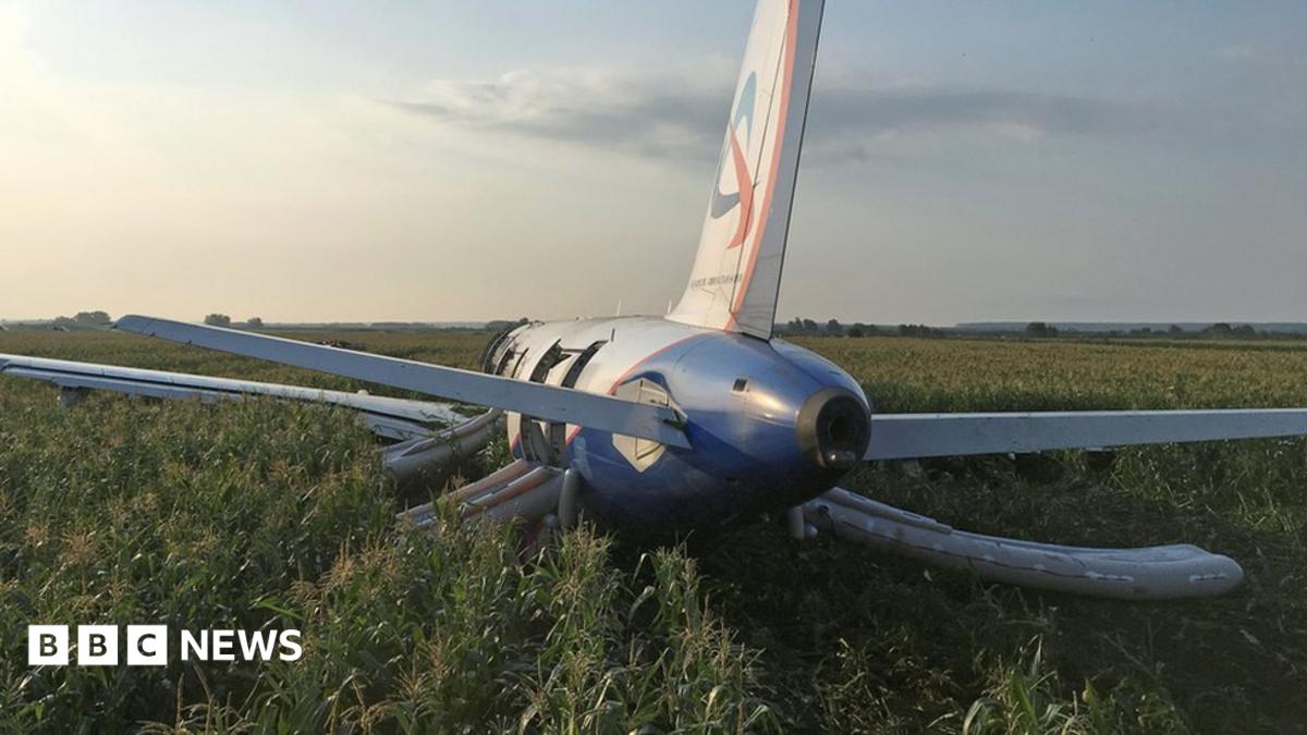 Russia bird strike: Plane crash-lands after hitting gulls - BBC News