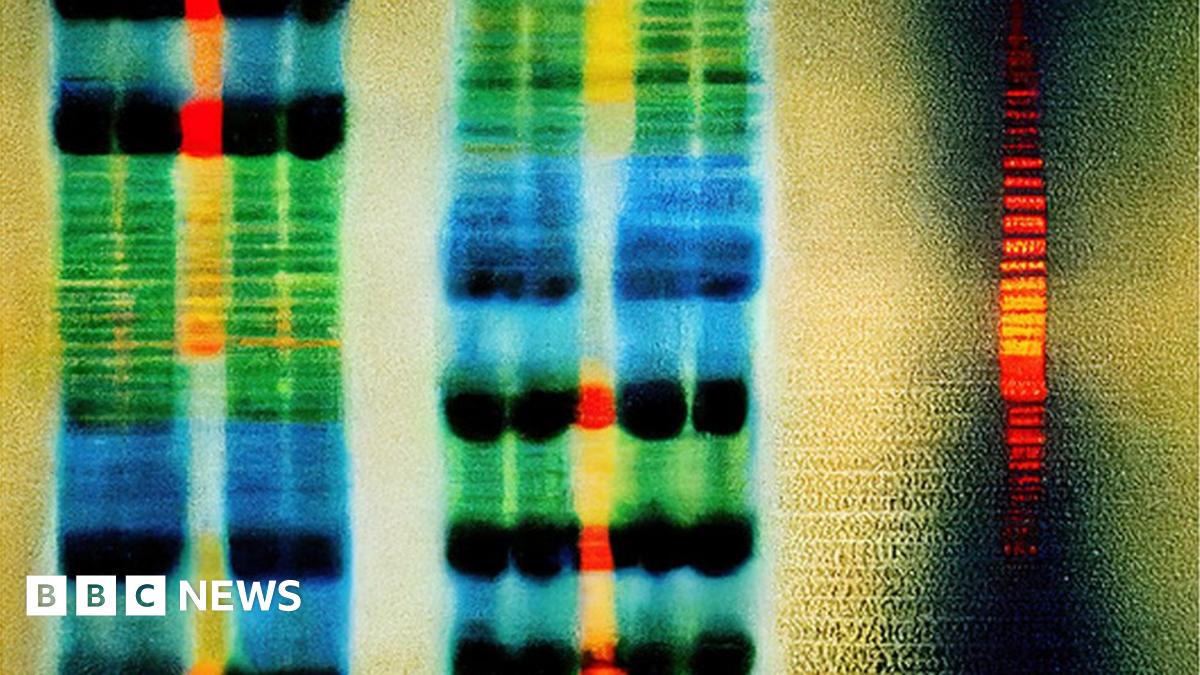 Updated DNA map better reflects human diversity - BBC News