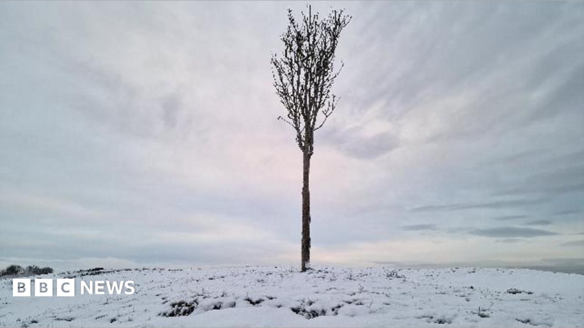 Snow brings picturesque scenes across north-west England - BBC News