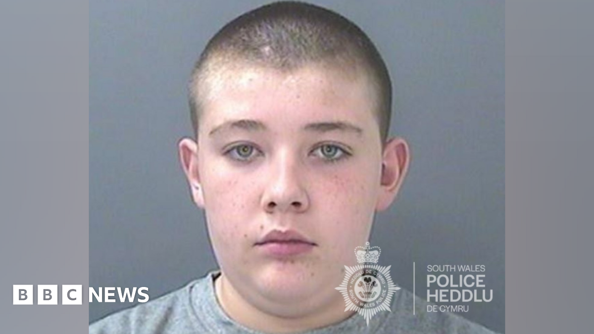 Craig Mulligan: Call to publish Logan Mwangi killer's custody court ...