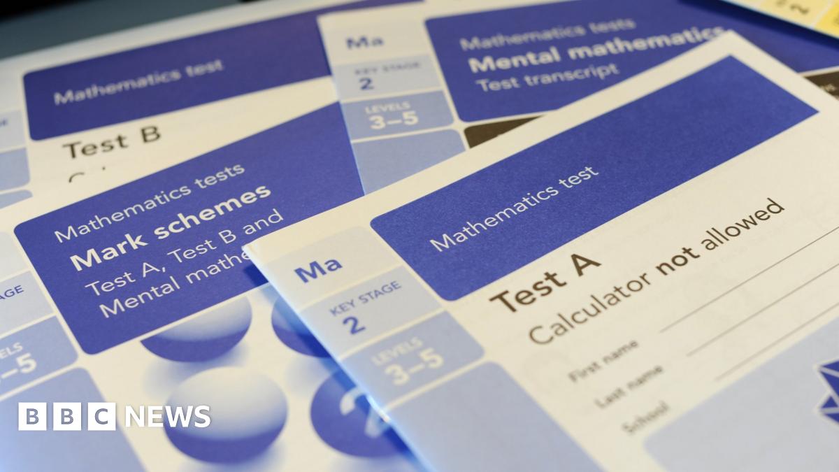Sunderland school Redby Academy has SATs results annulled - BBC News