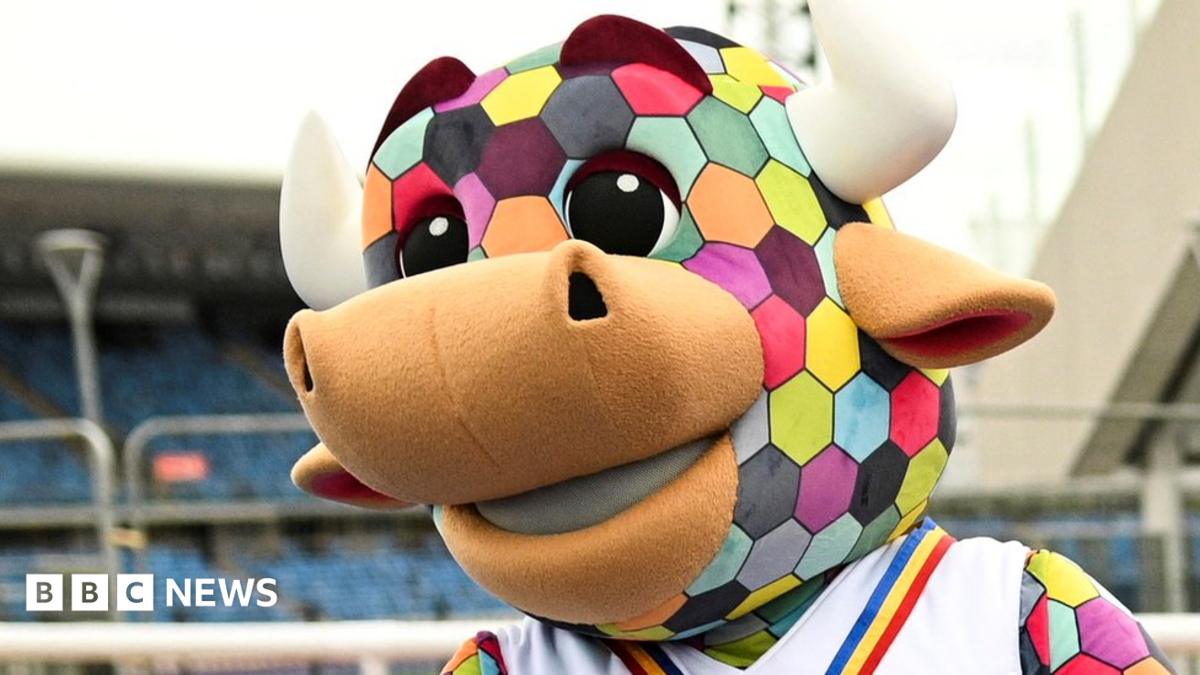 Birmingham 2022: Mascot designer excited to see Perry in action - BBC News