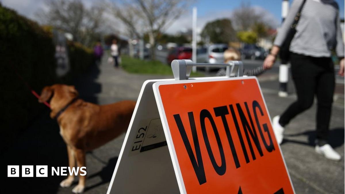 New Zealand Supreme Court rules voting age of 18 is discriminatory ...