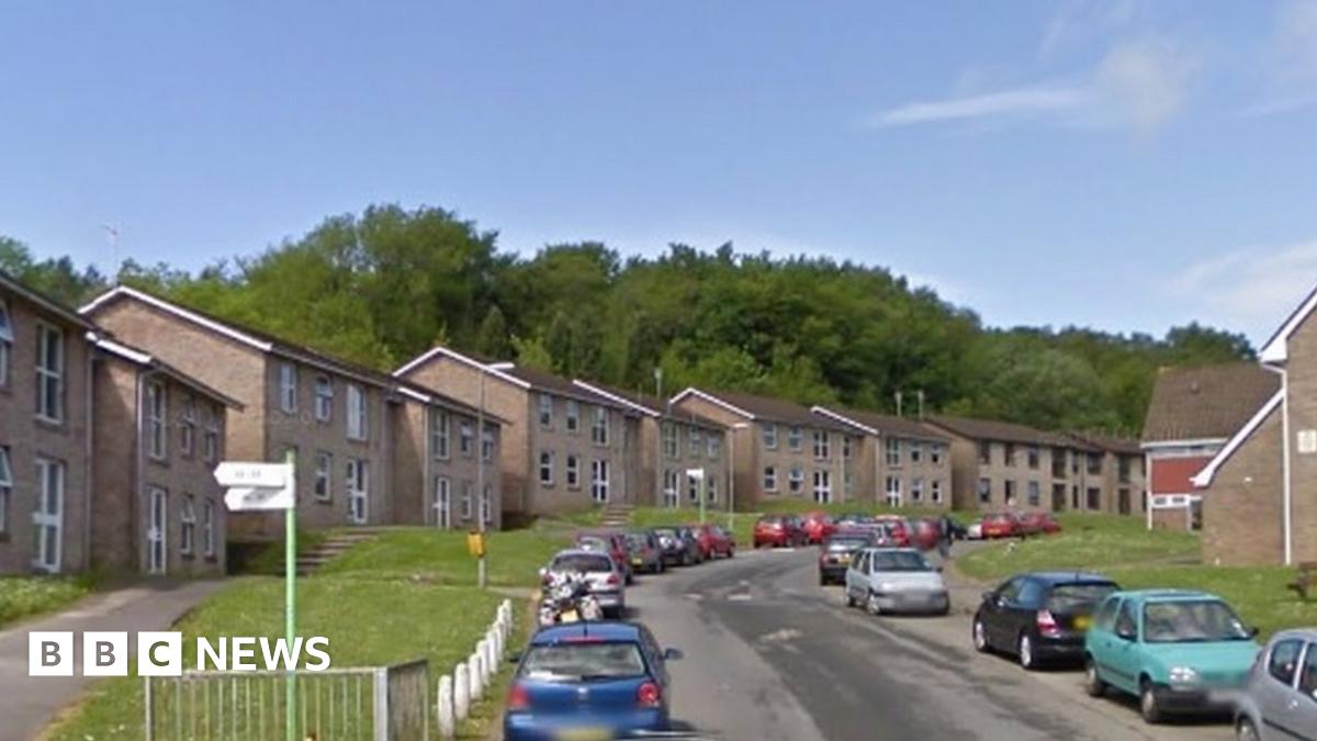 More homes on Swansea's Hendrefoilan student village - BBC News