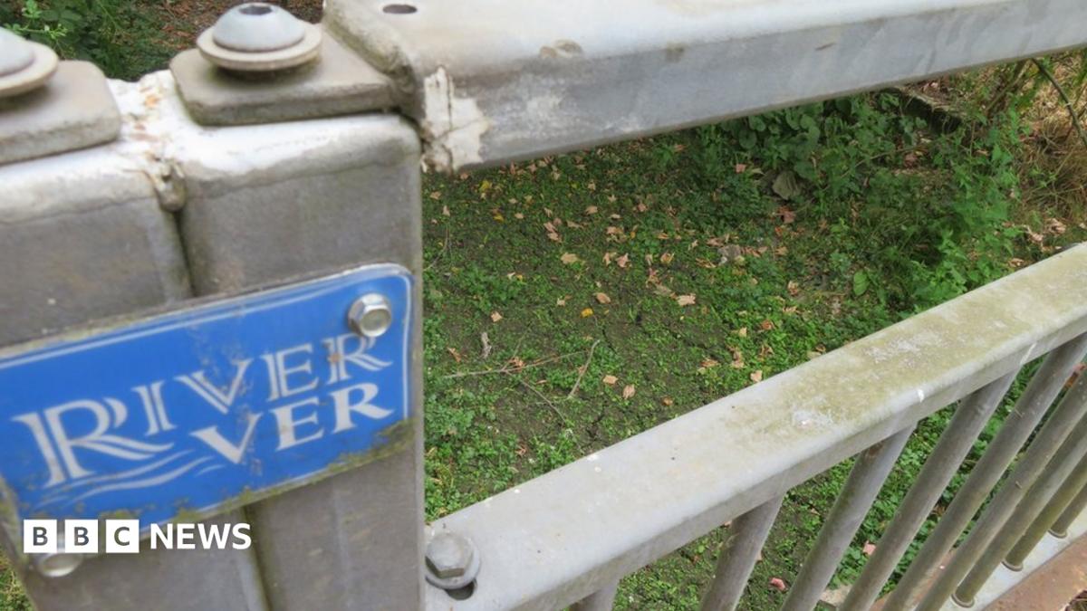 River Ver: Nearly half of chalk stream has run dry - BBC News