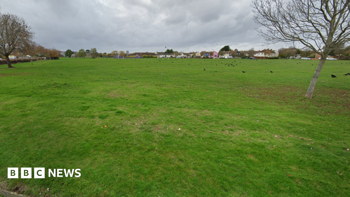 One-year-old suffers facial injury in Swindon dog attack - BBC News