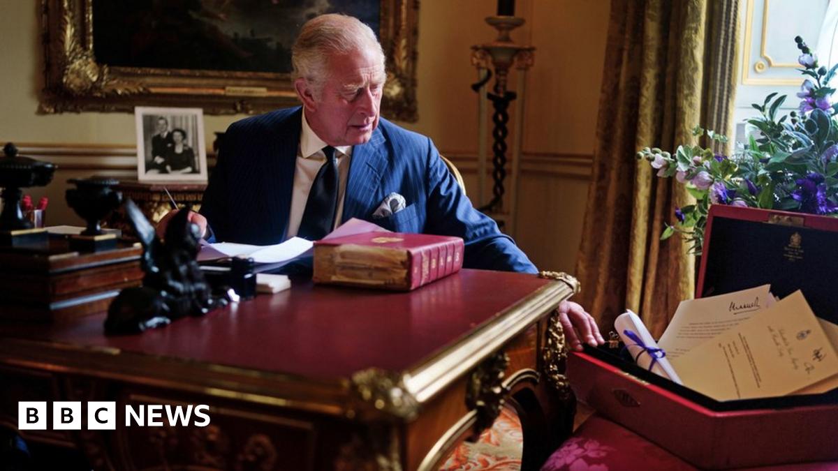 King Charles III's less formal photo as working monarch - BBC News