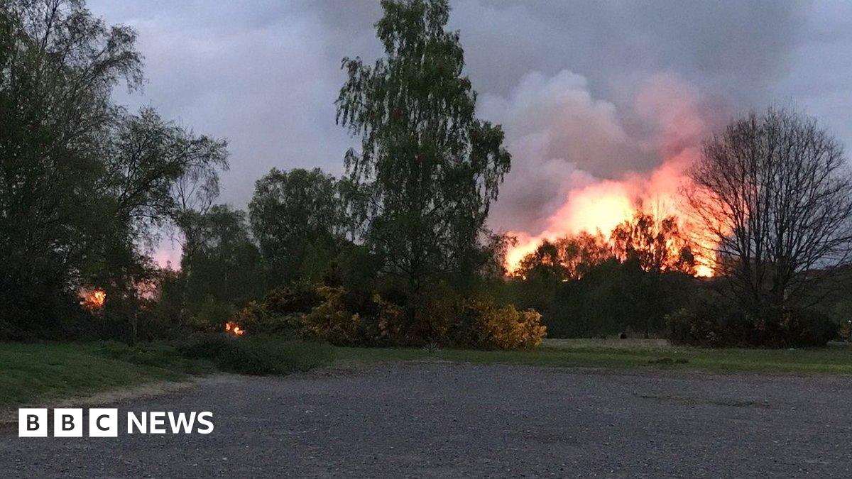 Chobham Common heathland damaged in fire - BBC News
