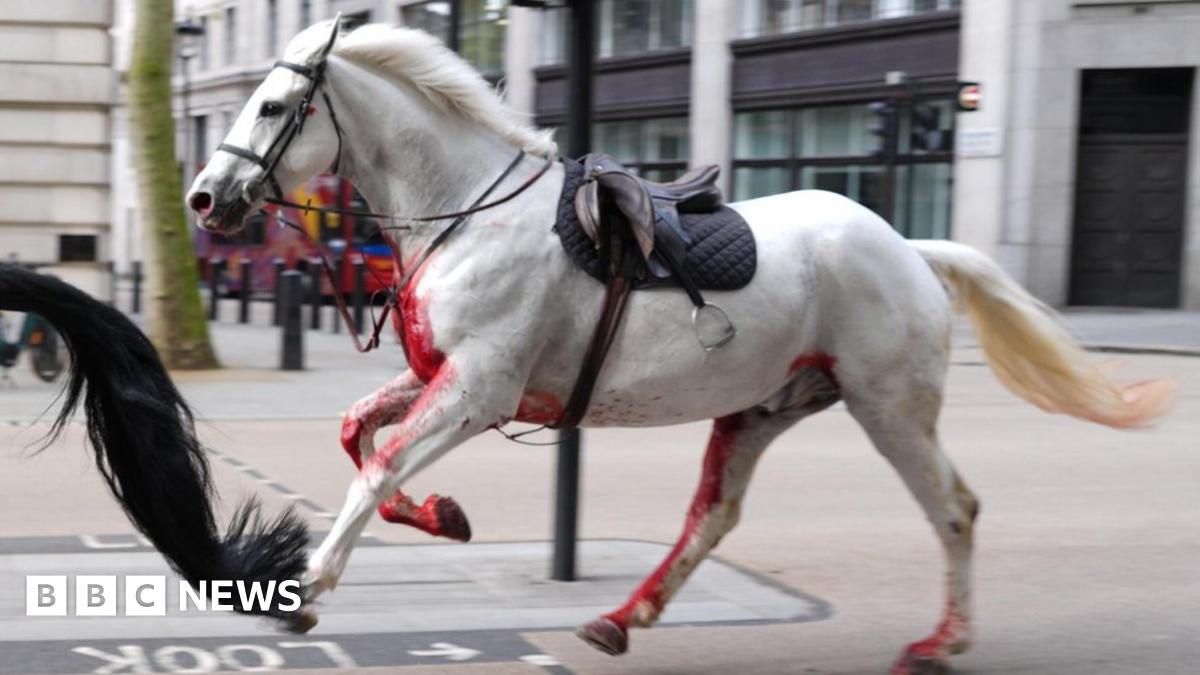 Blood on pavement and smashed vehicles after horses tear through London ...