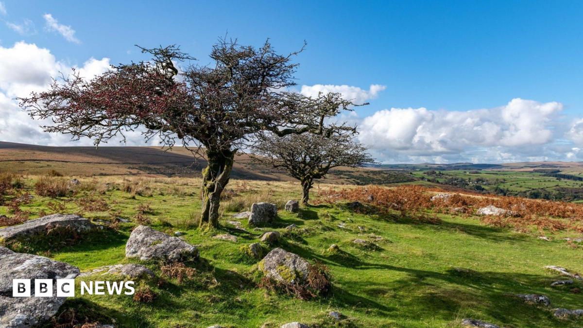 Dartmoor landowner renews battle against wild camping - BBC News