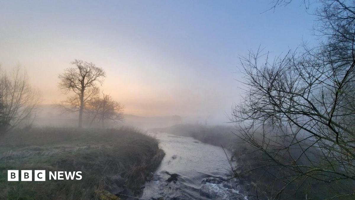 Weather Watchers: Foggy morning captured in East Midlands - BBC News