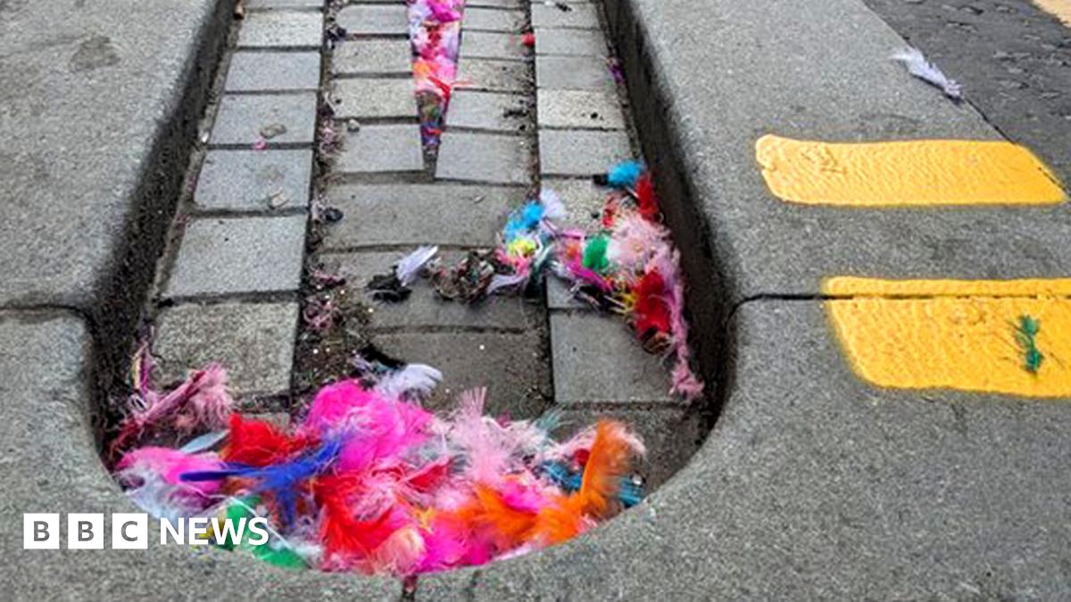 Harry Styles concert leaves 'feather boa massacre' in Cardiff - BBC News