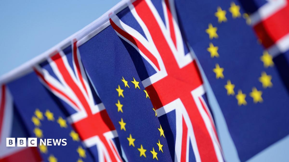 Reality Check: Your Brexit questions answered - BBC News
