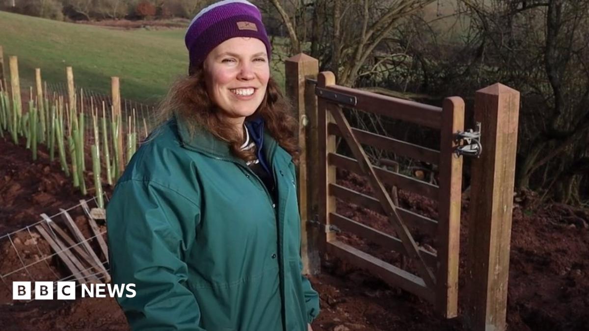 Hedges planted as Bodenham nature reserve prepares to open - BBC News