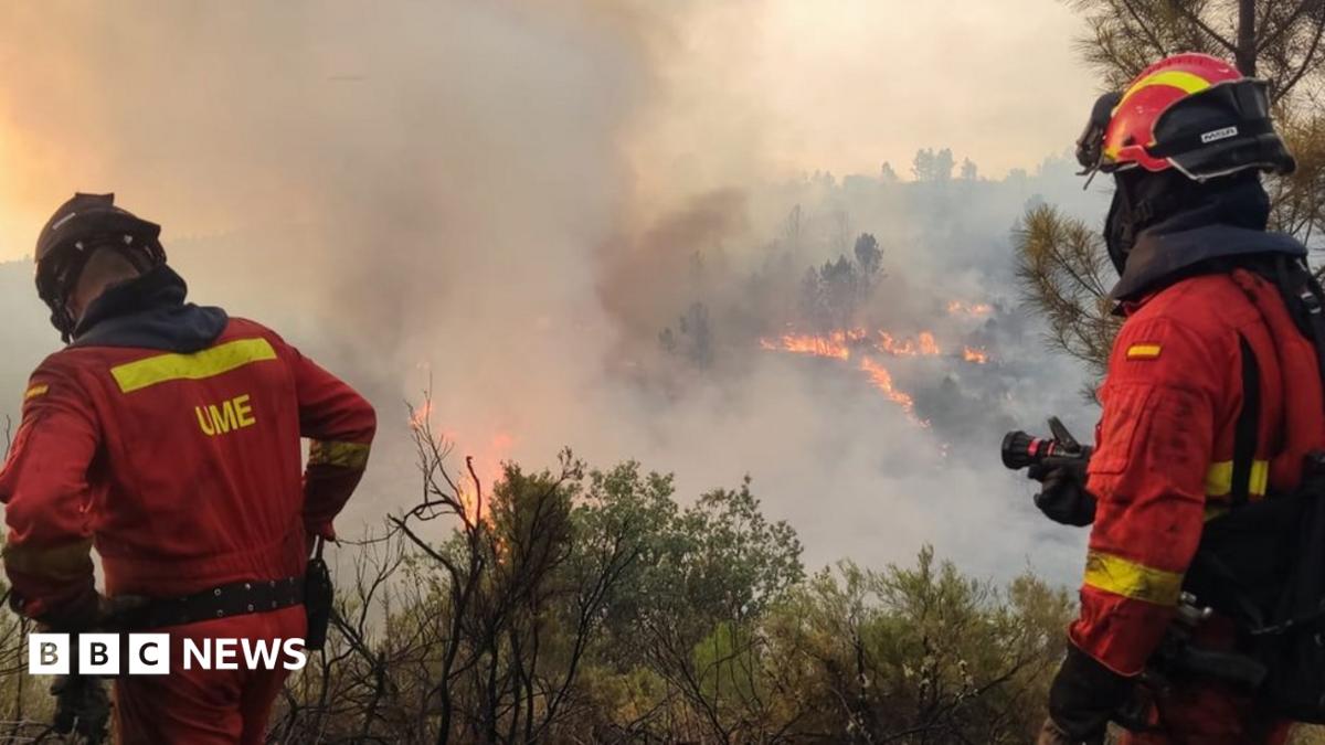 Europe heatwave: Thousands escape wildfires in France, Spain and Greece ...