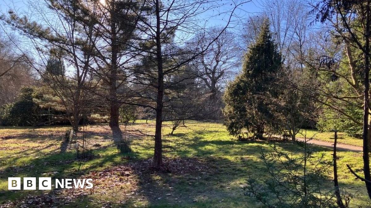 National Trust garden project to help adapt to climate change - BBC News