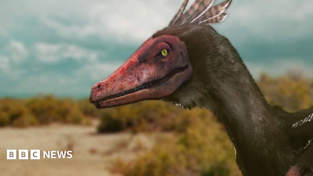 Marsh Farm Essex: Plans lodged for £1.6m dinosaur park - BBC News