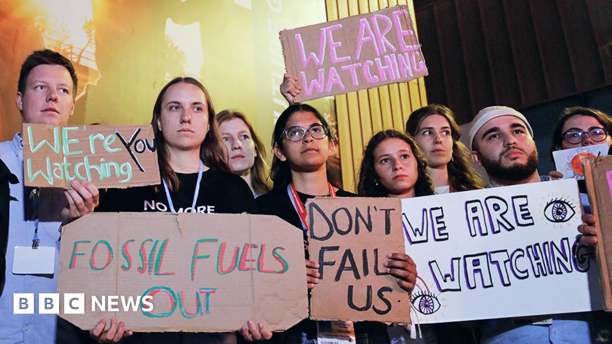 Climate change: Five key takeaways from COP27 - BBC News