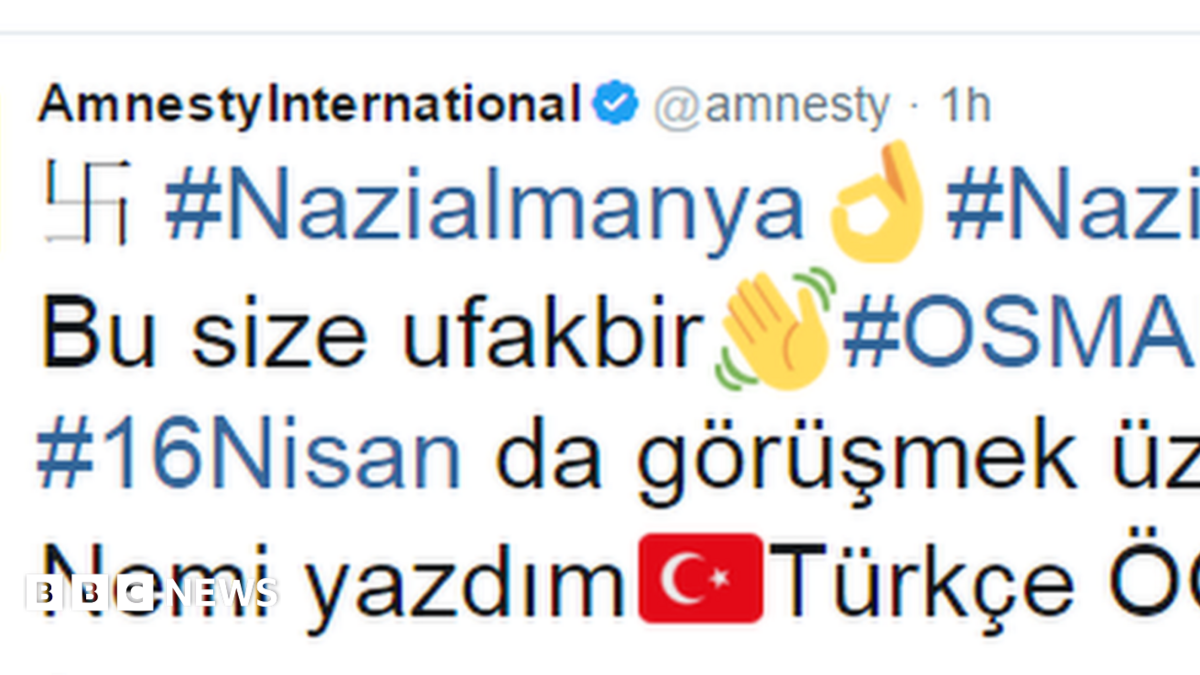 'Turkey backers' target Amnesty, BBC and other major Twitter accounts ...