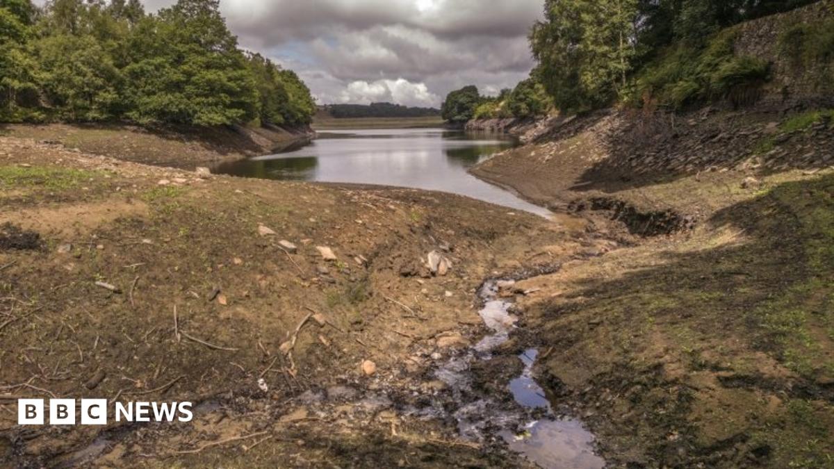 Driest July in England since 1935 - Met Office - BBC News