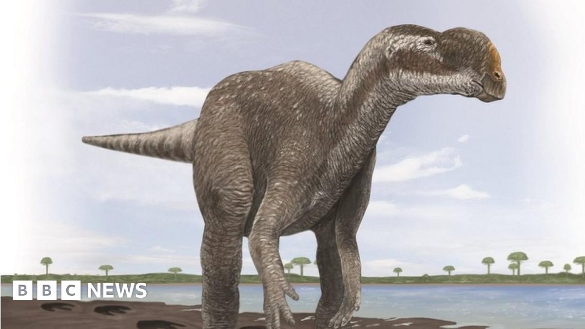 Mapping Australia’s dinosaur landscape - BBC News