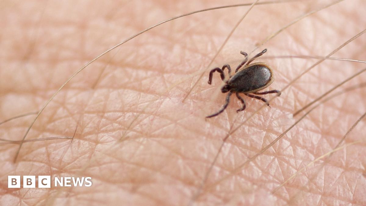 types of ticks in england