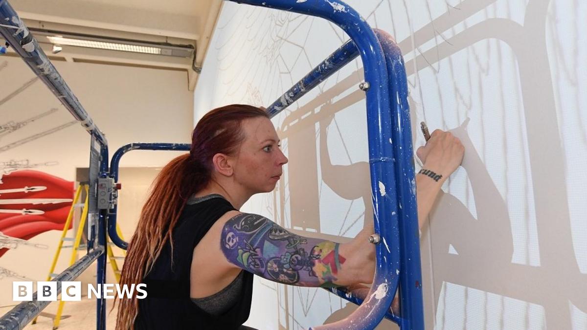 Coventry museum's walls become artworks in new installation - BBC News