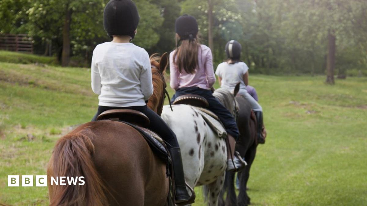 Pony Club: Horse riding teacher swore at children, probe finds - BBC News