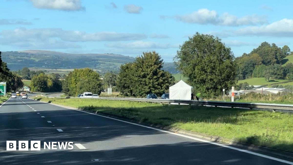 Devon A38 pedestrian dies after being hit by car - BBC News