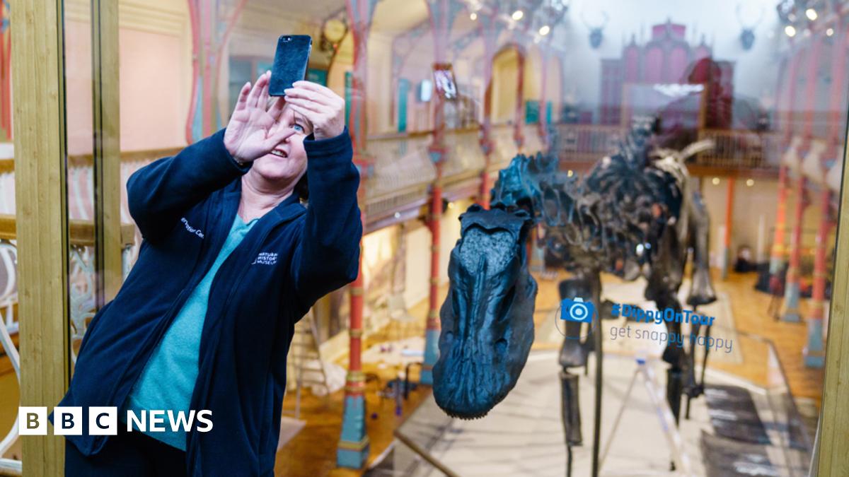 Dippy: 'The people's dinosaur' hits the road - BBC News