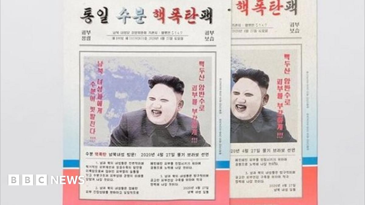 Kim Jong-un face mask stirs controversy in South Korea - BBC News