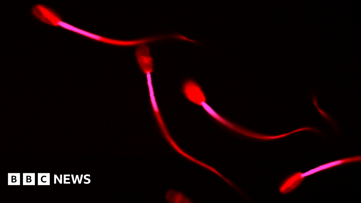 The future of contraception? Four ways it could change for you - BBC News