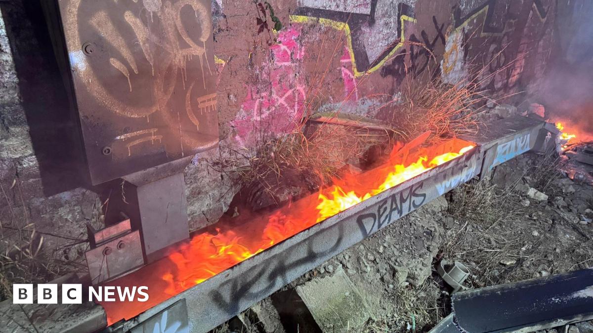 Brockley: Two lines reopen after trackside fire disruption - BBC News