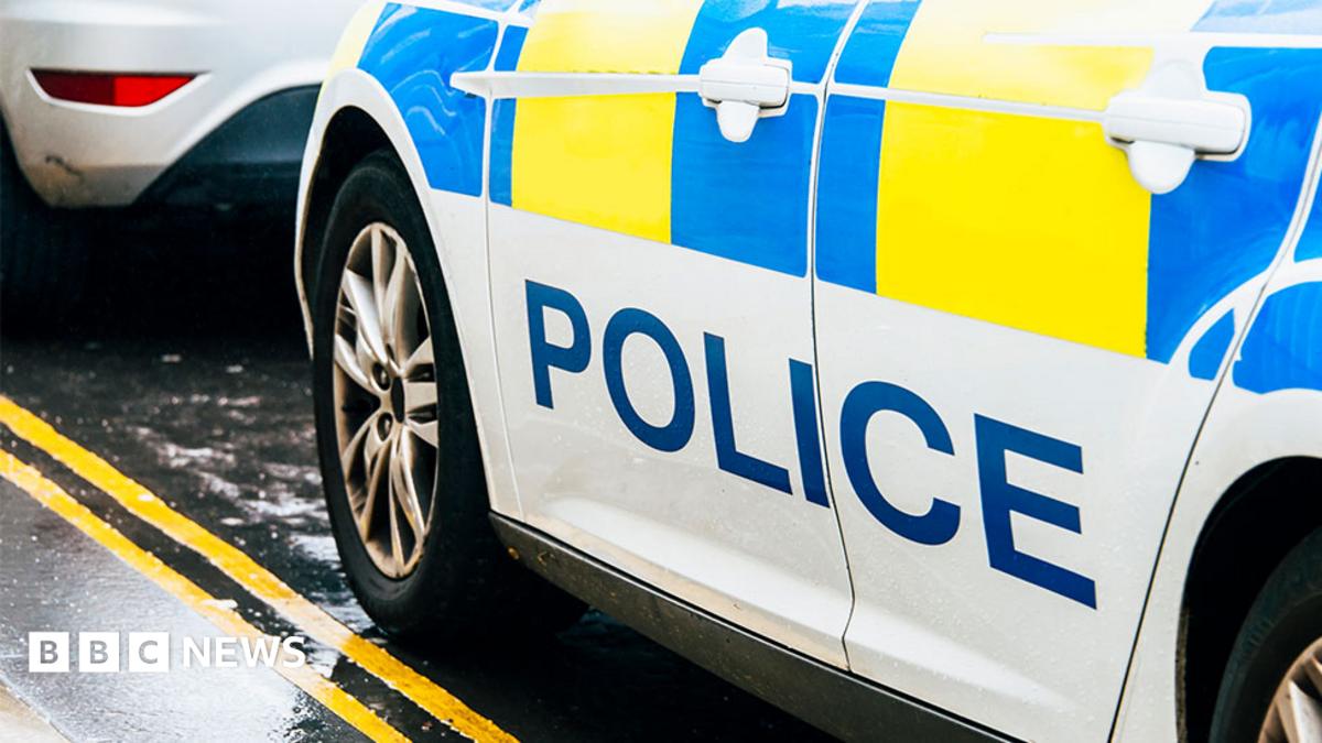 Crossbow attacks on two cats in Highland town - BBC News