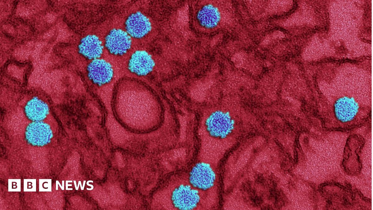 Zika: The key unanswered questions - BBC News