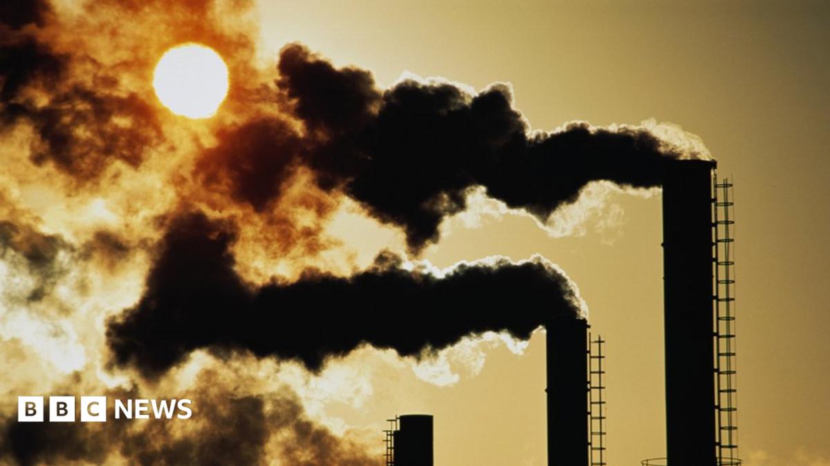 COP27: Climate change threatening global health - report - BBC News