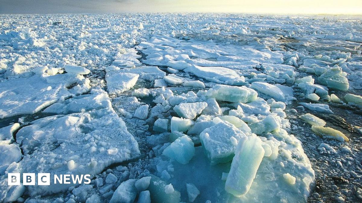 Arctic winter sees sluggish sea-ice growth - BBC News