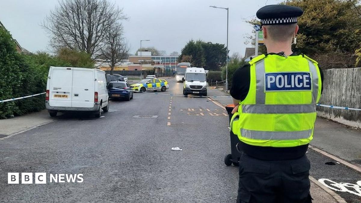 Houghton Regis stabbing: Police arrest second murder suspect - BBC News